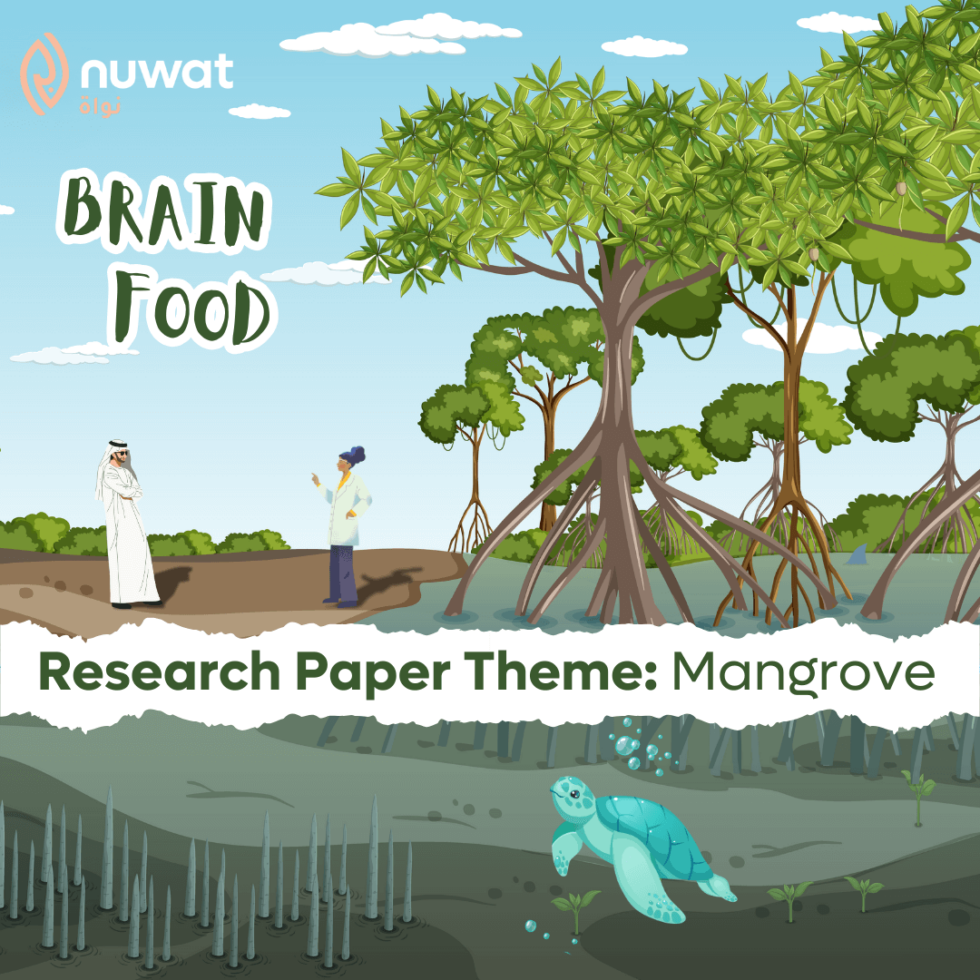 Mangroves Ecosystems Publication - Nuwat